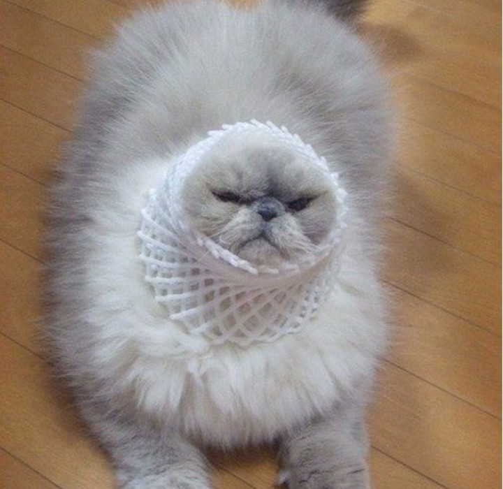 Mike "Timex" McDonald - Fat Cats Sending Cash | F5 Poker